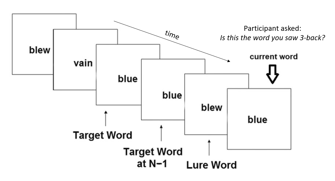 Blue or Blew? Homophones can tell us about working memory strategies ...