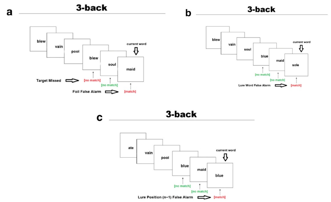 Blue or Blew? Homophones can tell us about working memory strategies ...